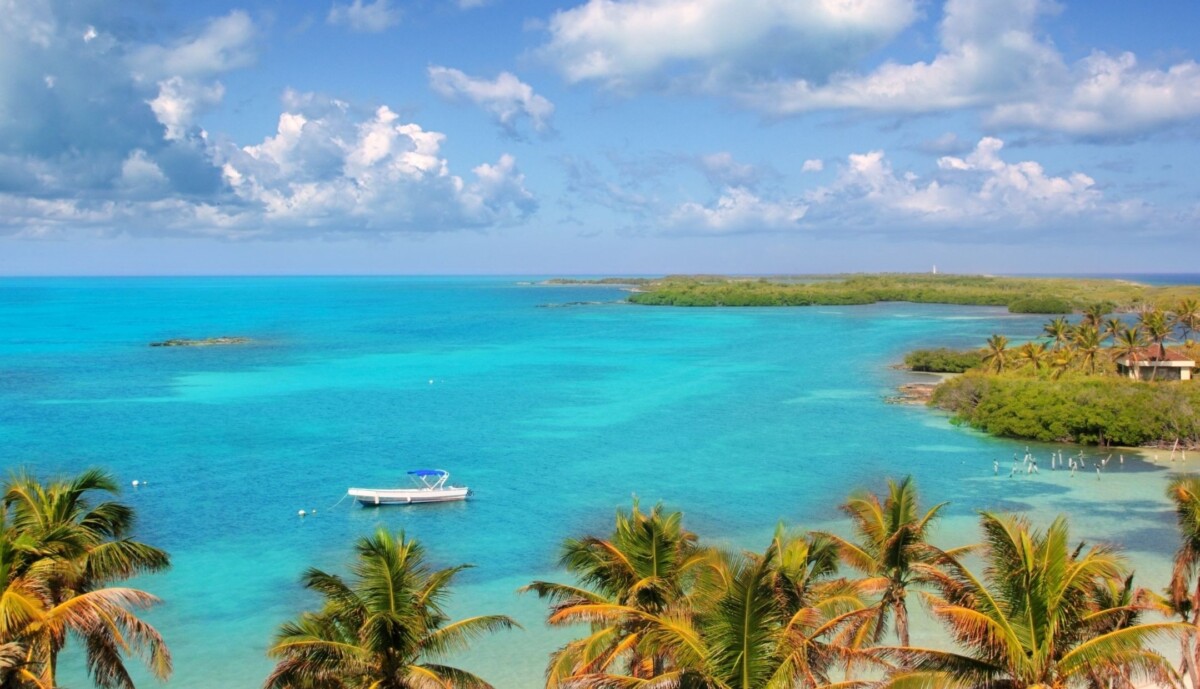 Cómo visitar Isla Contoy México - 6 mejores tours