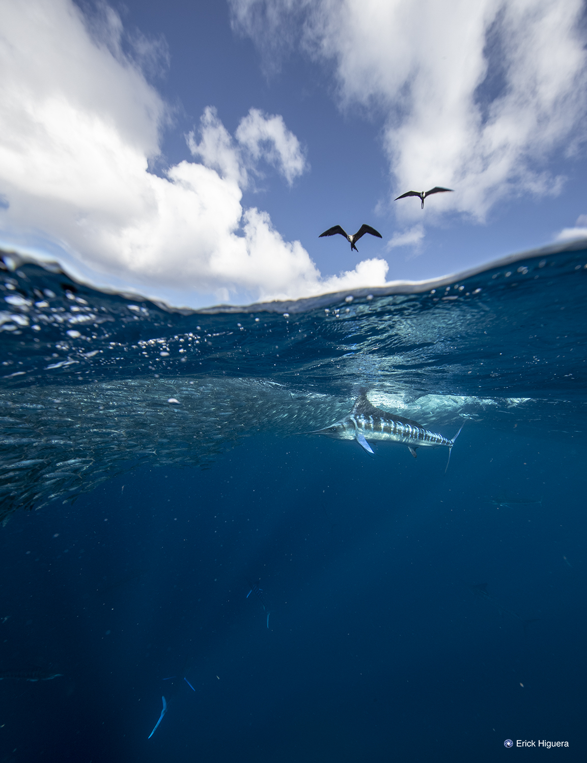 The Ultimate Guide to Cabo Pulmo National Park Map