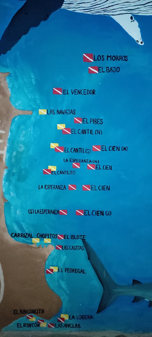 The Ultimate Guide to Cabo Pulmo National Park Map