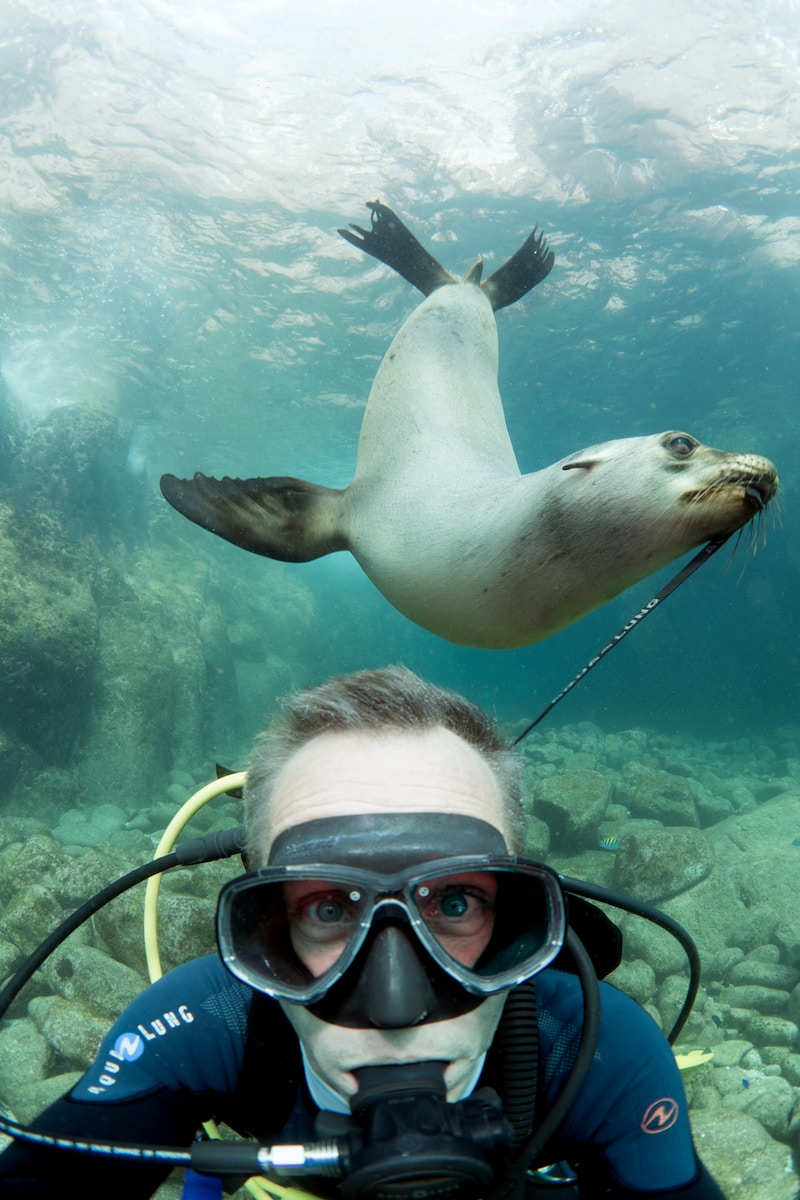 Dive in La Paz: Diving Courses and Tours Not to Be Missed - MExplor Travel