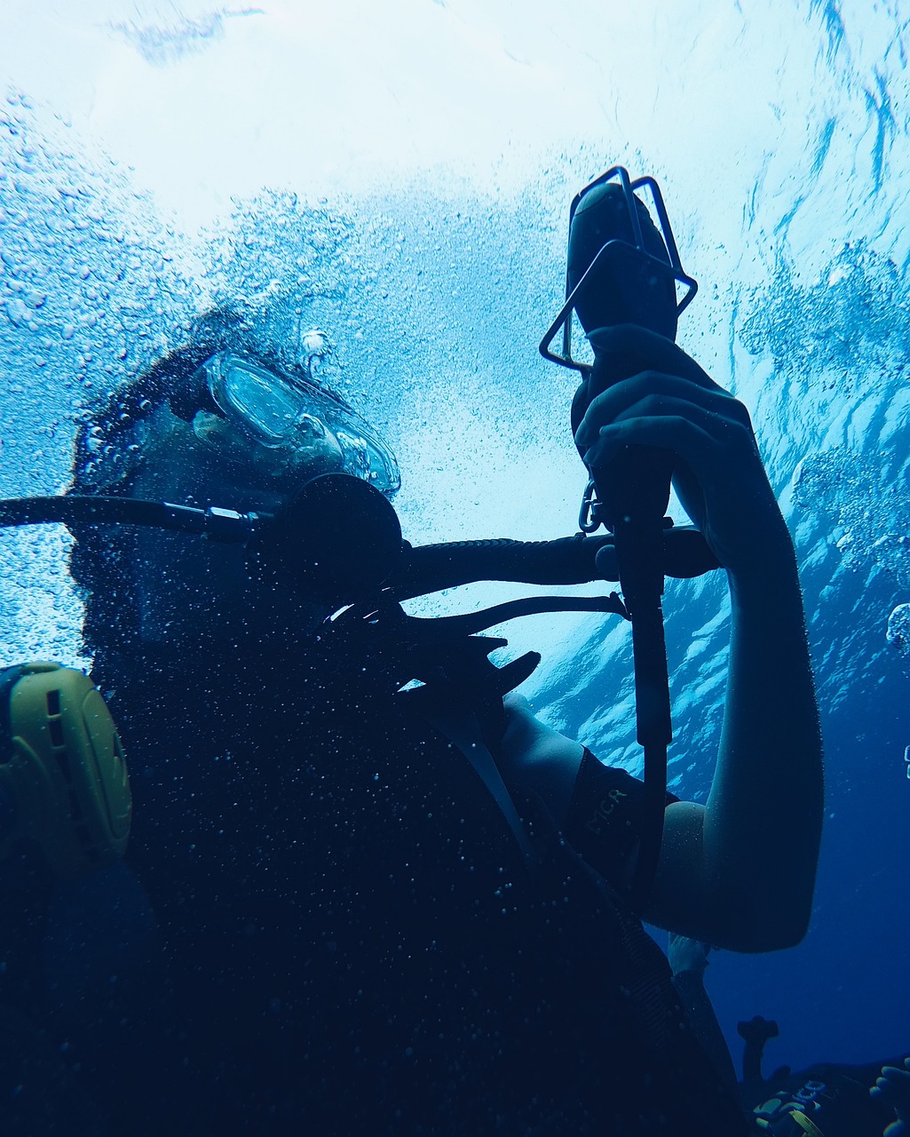 Embark on an Underwater Adventure: Scuba Diving Playa del Carmen ...