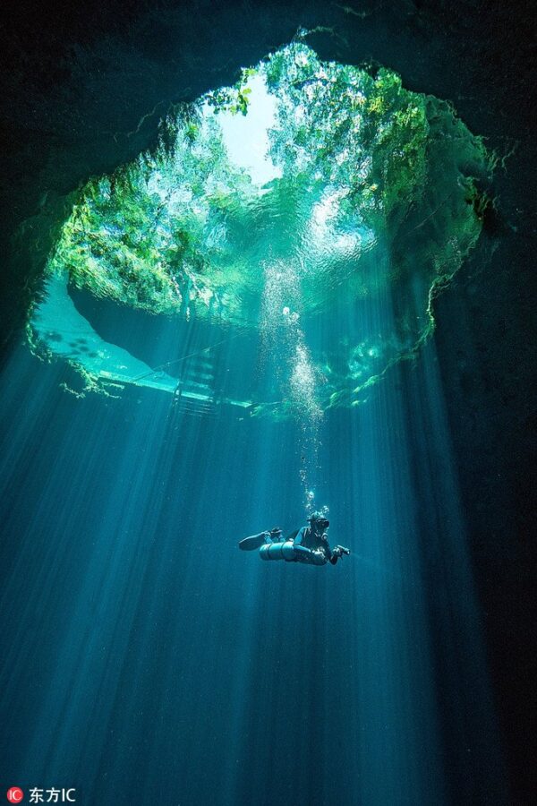 Cenote Tulum: Exploring the Natural Wonders of the Riviera Maya ...