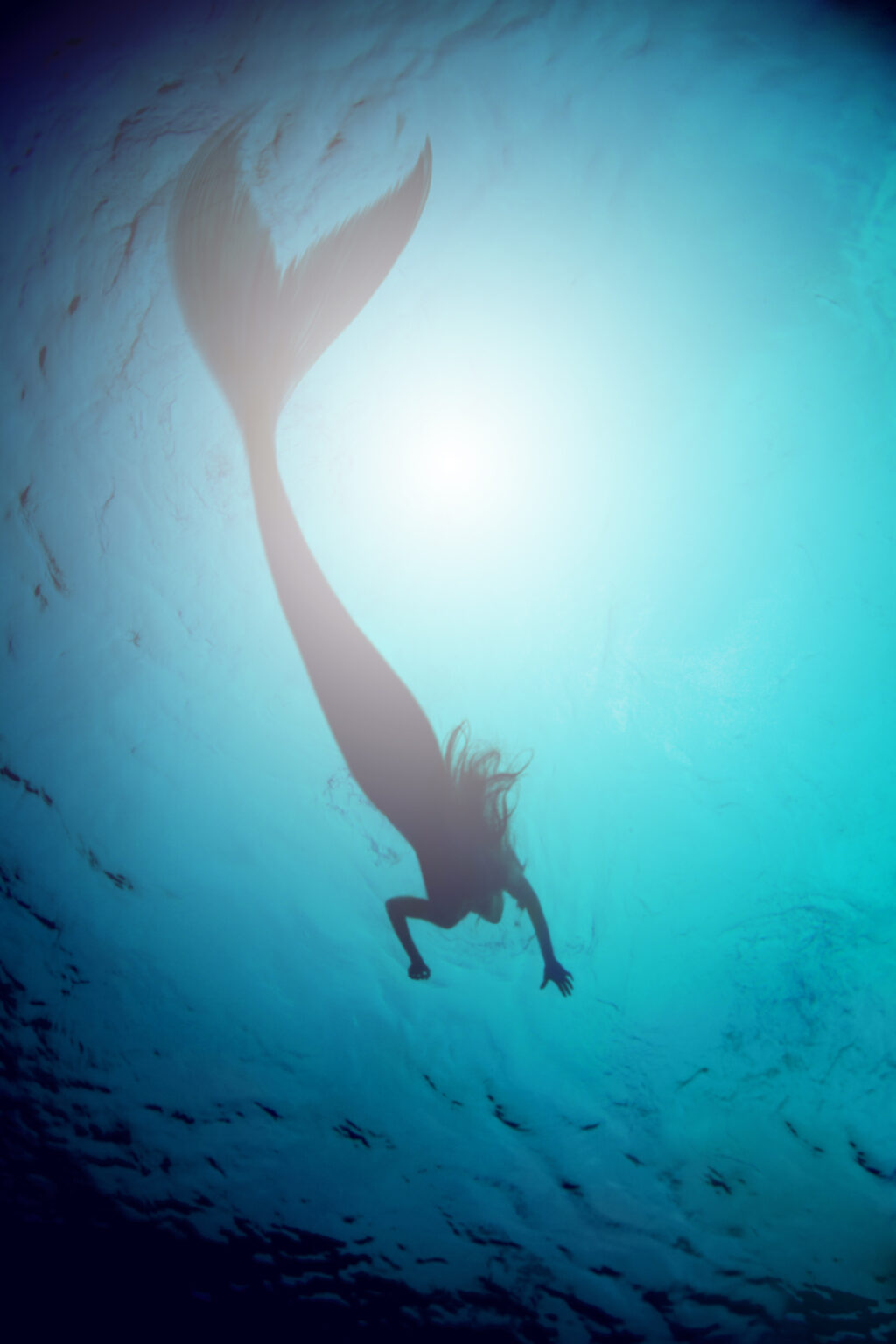Underwater Photography Mermaid Guide: Best Locations, Tips, Poses ...